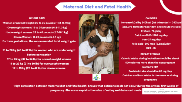 (PDF) Impact of Maternal Diet on Fetal Health