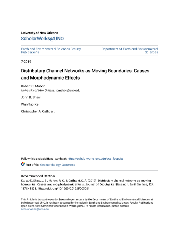 (PDF) Distributary Channel Networks as Moving Boundaries: Causes and ...