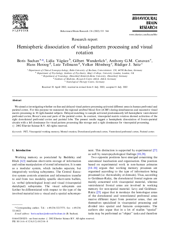 Pdf Hemispheric Dissociation Of Visual Pattern Processing And Visual
