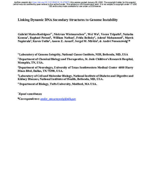 (PDF) Linking Dynamic DNA Secondary Structures to Genome Instability