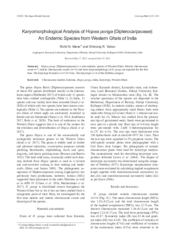 (PDF) Karyomorphological Analysis of Hopea ponga (Dipterocarpaceae): An ...