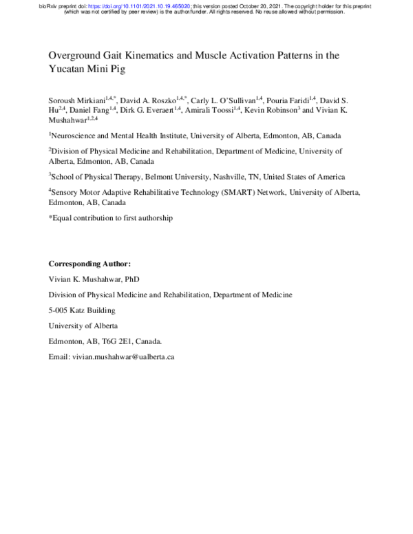 (PDF) Overground Gait Kinematics and Muscle Activation Patterns in the ...