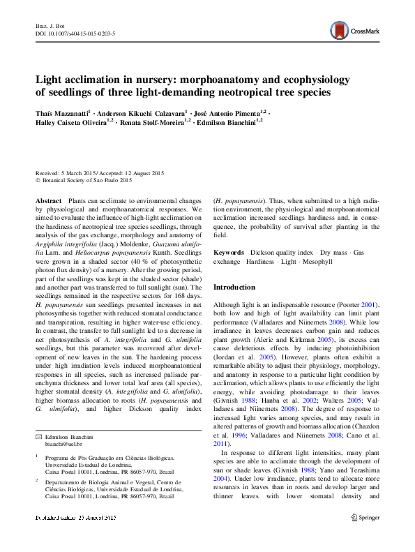(PDF) Light acclimation in nursery: morphoanatomy and ecophysiology of ...