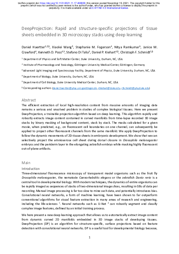 (PDF) DeepProjection: Rapid and structure-specific projections of tissue sheets embedded in 3D ...