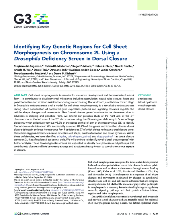 (PDF) Identifying Key Genetic Regions for Cell Sheet Morphogenesis on ...