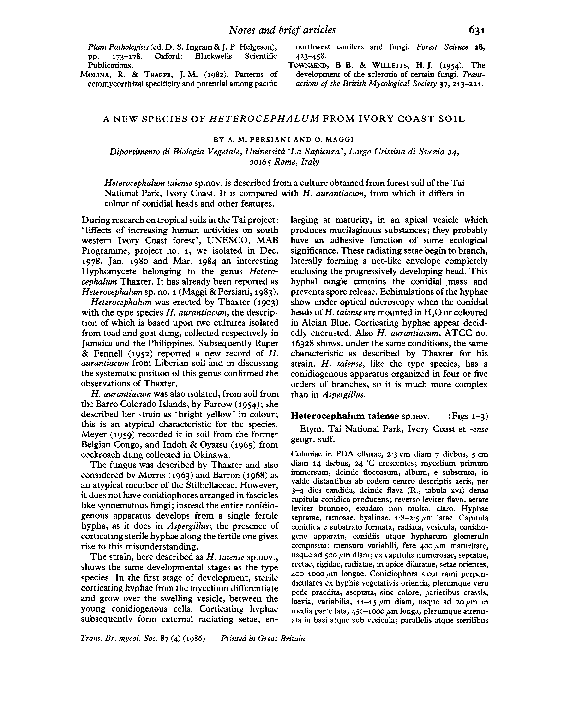 (PDF) A New Species of Heterocephalum from Ivory-Coast Soil