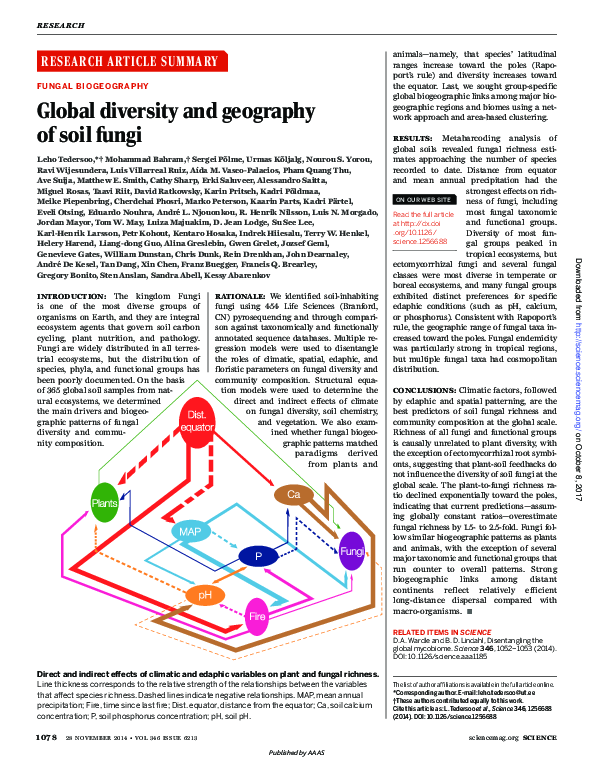 (PDF) Global diversity and geography of soil fungi FUNGAL BIOGEOGRAPHY ...
