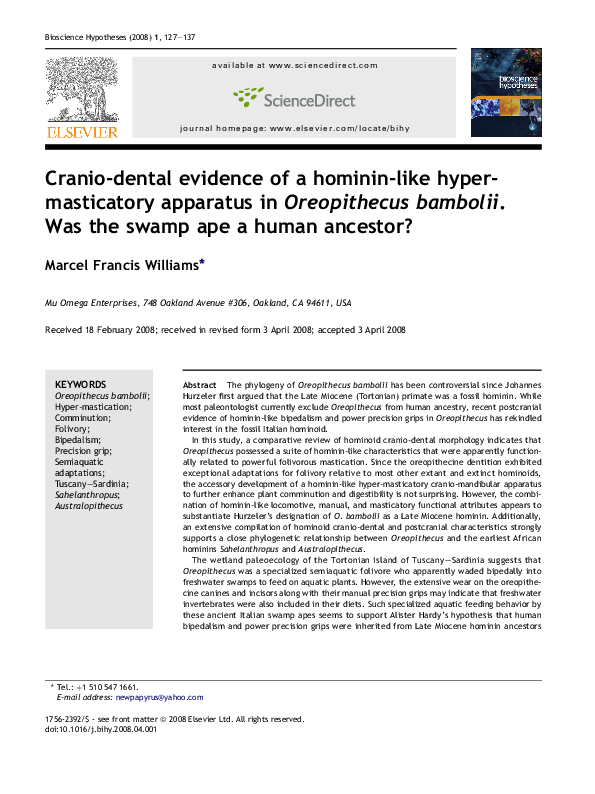 (PDF) Cranio-dental evidence of a hominin-like hyper-masticatory ...