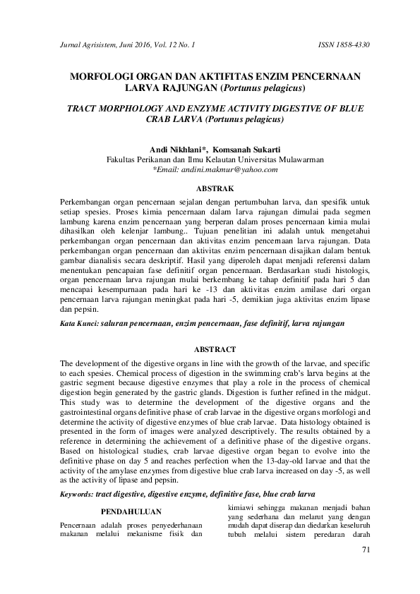 (PDF) MORFOLOGI ORGAN DAN AKTIFITAS ENZIM PENCERNAAN LARVA RAJUNGAN ...