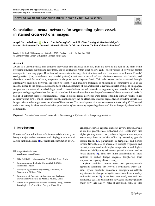 Pdf Convolutional Neural Networks For Segmenting Xylem Vessels In