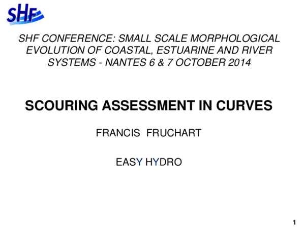 (PDF) Scouring assessment in curves