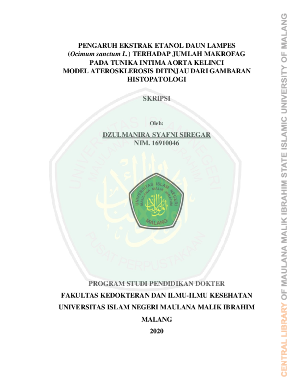 (PDF) Pengaruh ekstrak etanol daun lampes (Ocimum Sanctum L.) terhadap ...