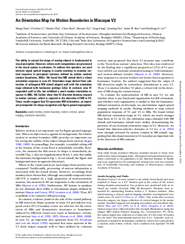 (PDF) An Orientation Map for Motion Boundaries in Macaque V2