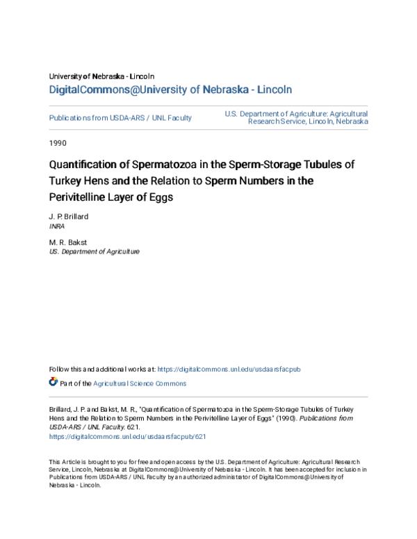 (PDF) Quantification of Spermatozoa in the Sperm-Storage Tubules of ...