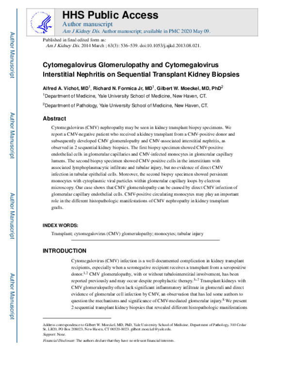 (PDF) Cytomegalovirus Glomerulopathy and Cytomegalovirus Interstitial ...