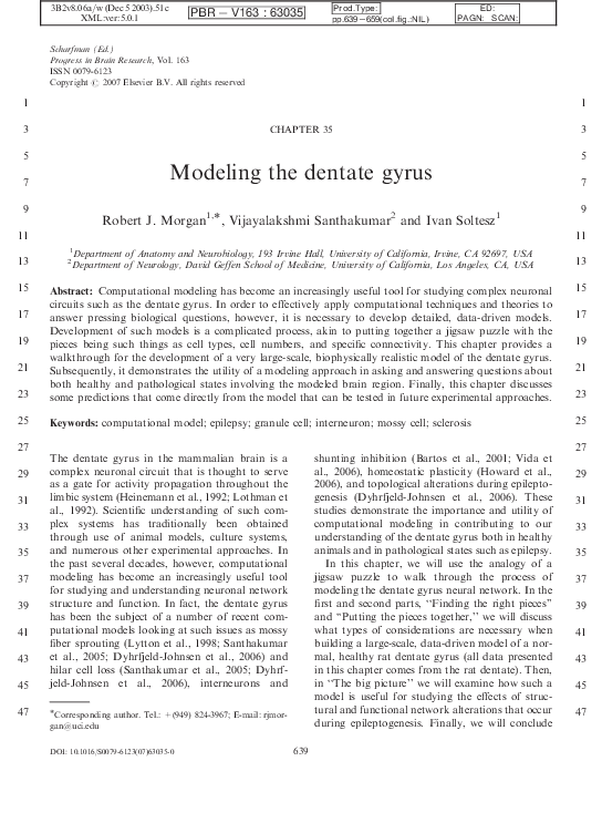 (PDF) Modeling the dentate gyrus