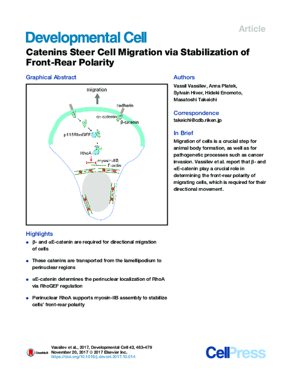 (PDF) Catenins Steer Cell Migration via Stabilization of Front-Rear ...