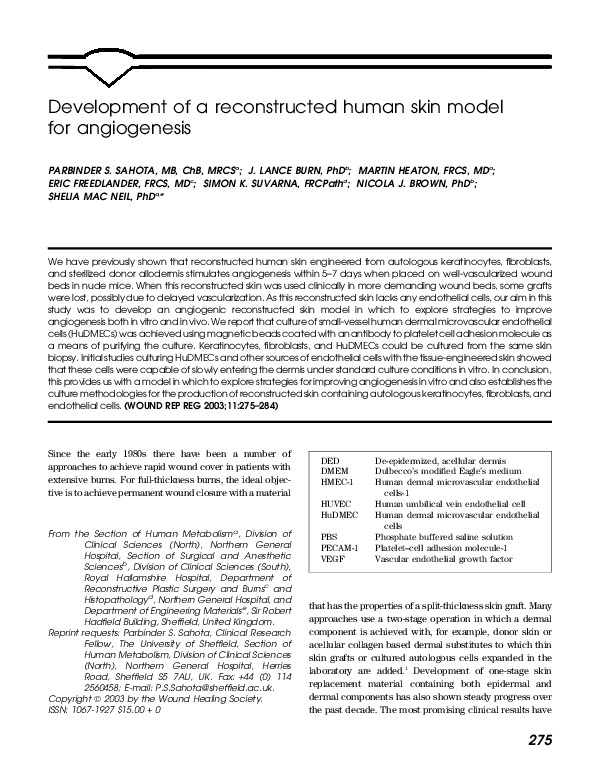 (PDF) Development of a reconstructed human skin model for angiogenesis
