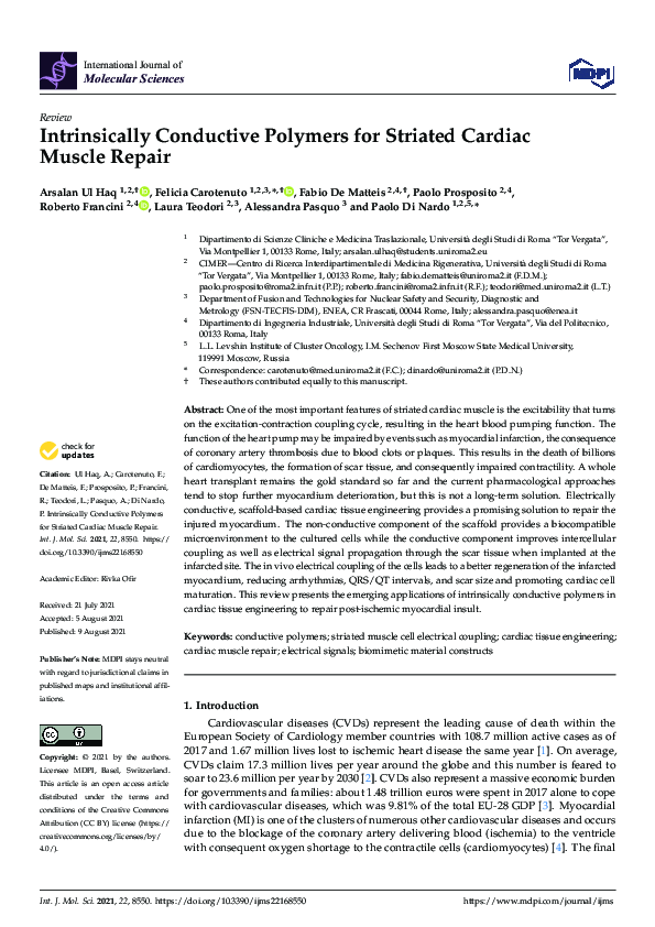 Pdf Intrinsically Conductive Polymers For Striated Cardiac Muscle Repair