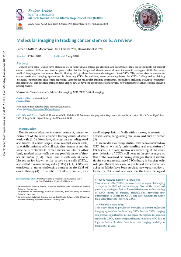 (PDF) Molecular imaging in tracking cancer stem cells: A review | hamed ...