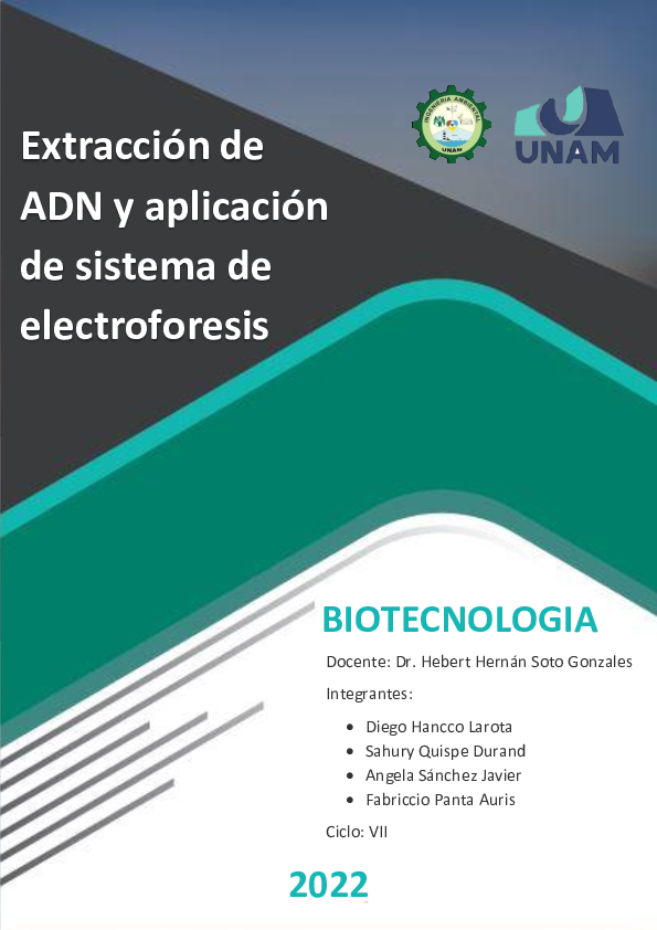 (PDF) Extracción de ADN y aplicación de sistema de electroforesis BIOTECNOLOGIA