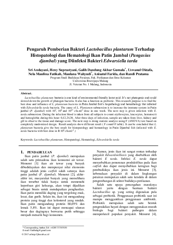 (PDF) Pengaruh Pemberian Bakteri Lactobacillus plantarum Terhadap Histopatologi dan Hematologi ...