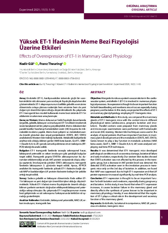 (PDF) Yüksek ET-1 İfadesinin Meme Bezi Fizyolojisi Üzerine Etkileri
