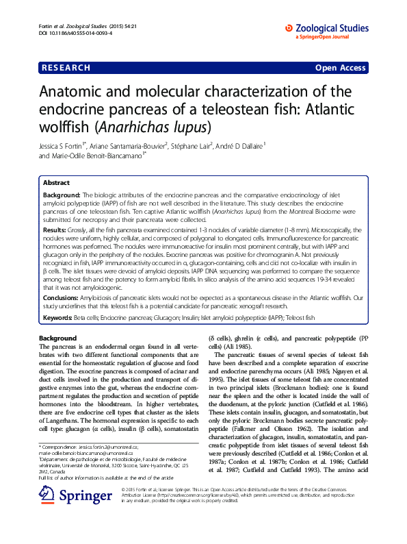 (PDF) Anatomic and molecular characterization of the endocrine pancreas ...