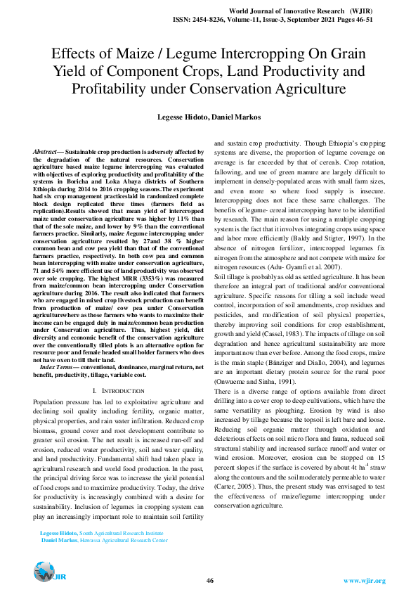 (PDF) Effects of Maize / Legume Intercropping On Grain Yield of Component Crops, Land ...