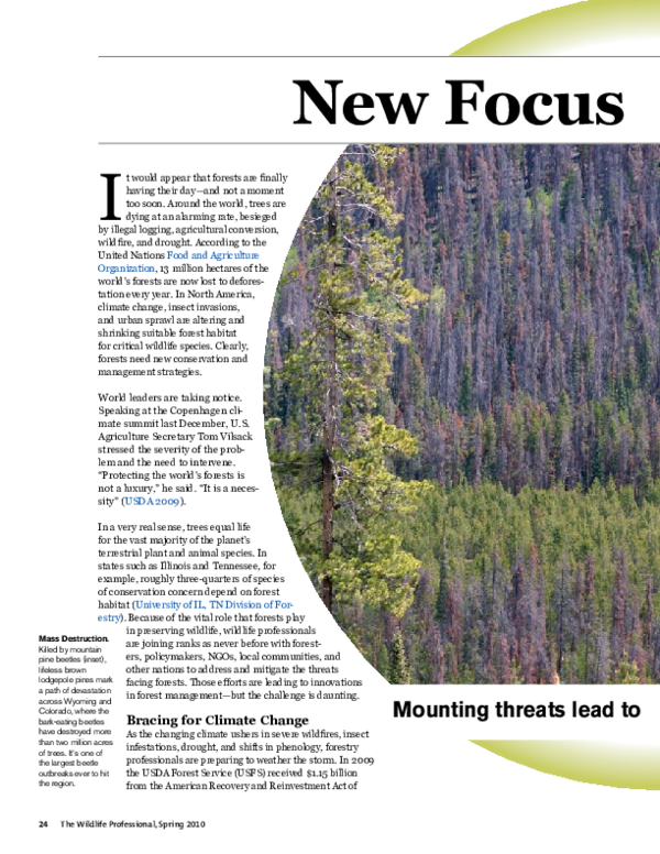(PDF) New focus on forests