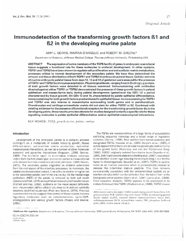 (PDF) Immunodetection of the transforming growth factors beta 1 and beta 2 in the developing ...