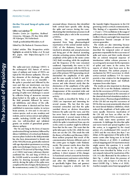 (PDF) On the Ying and Yang of spike and waves
