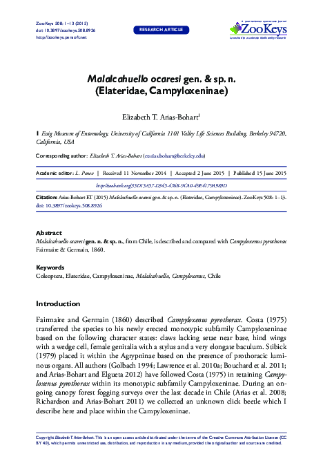 (PDF) Malalcahuello ocaresi gen. & sp. n. (Elateridae, Campyloxeninae)