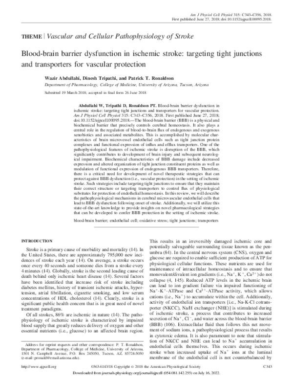 (PDF) Blood-brain barrier dysfunction in ischemic stroke: targeting ...