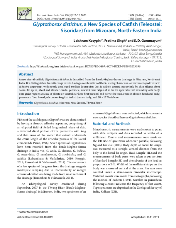 (PDF) Glyptothorax distichus , a New Species of Catfish (Teleostei ...