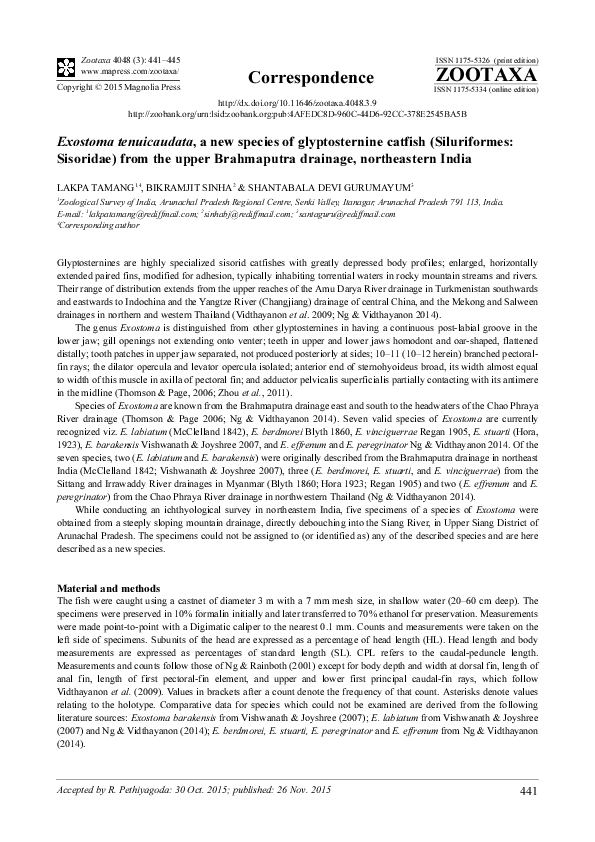 (PDF) Exostoma tenuicaudata , a new species of glyptosternine catfish ...