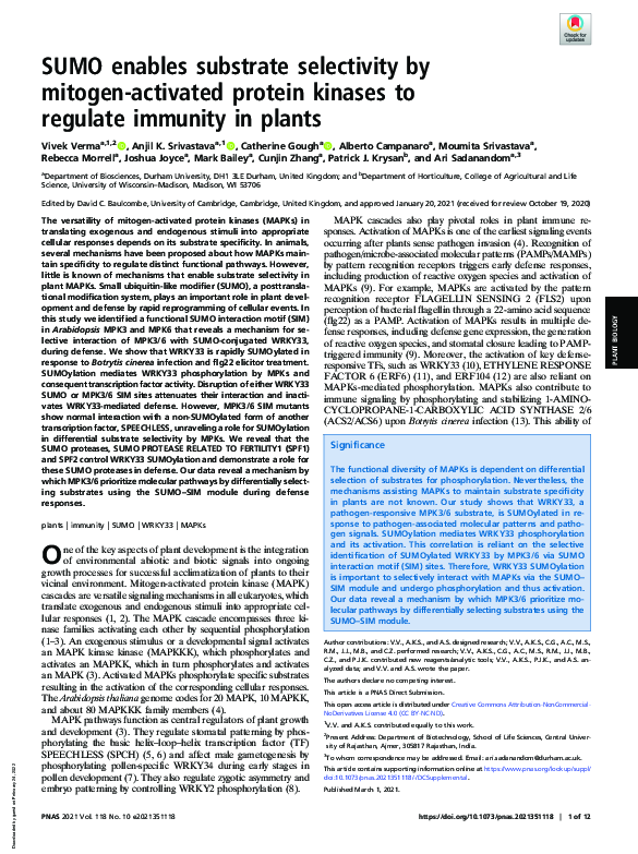 (PDF) SUMO enables substrate selectivity by mitogen-activated protein ...