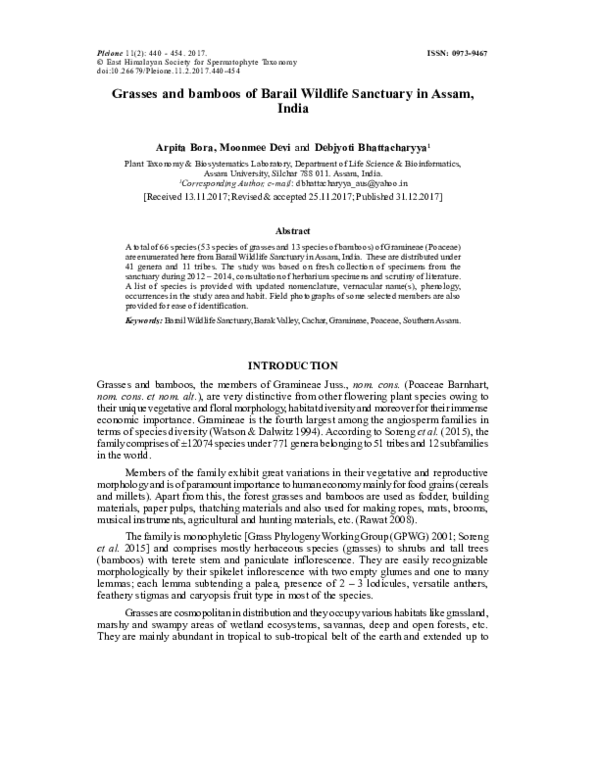 (PDF) Grasses and bamboos of Barail Wildlife Sanctuary in Assam, India