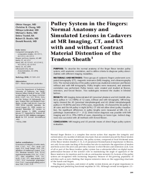 (PDF) Pulley System in the Fingers: Normal Anatomy and Simulated ...