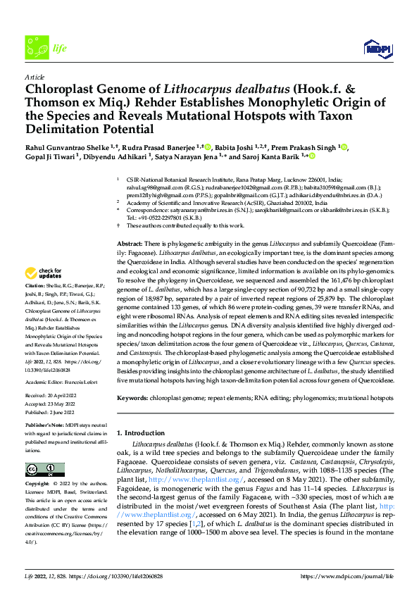 (PDF) Chloroplast Genome of Lithocarpus dealbatus (Hook.f. & Thomson ex ...