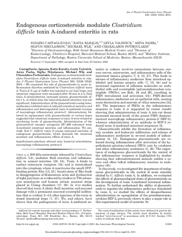 (PDF) Endogenous corticosteroids modulateClostridium difficile toxin A ...
