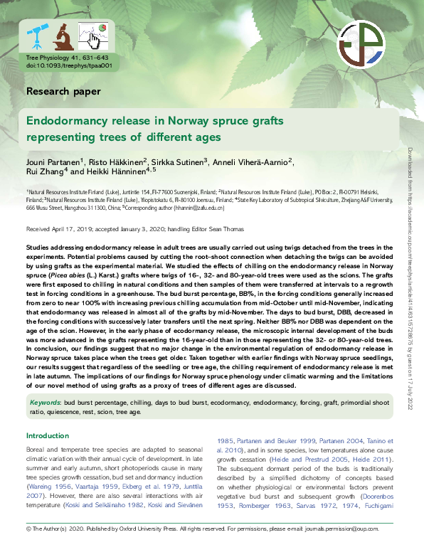 (PDF) Endodormancy release in Norway spruce grafts representing trees ...