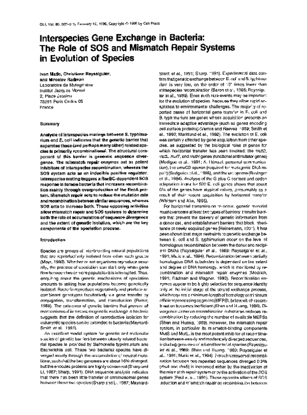 (PDF) SOS and Mismatch Repair in Bacterial Evolution