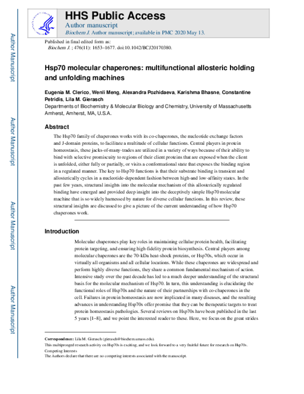 (PDF) Hsp70 molecular chaperones: multifunctional allosteric holding and unfolding machines ...