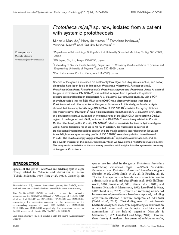 (PDF) Prototheca miyajii sp. nov., isolated from a patient with ...