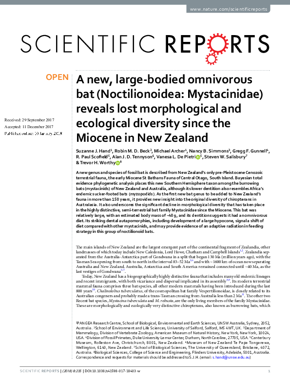 (PDF) A new, large-bodied omnivorous bat (Noctilionoidea: Mystacinidae ...
