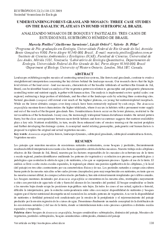 (PDF) Understanding Forest-Grassland Mosaics: Three Case Studies on the Basaltic Plateaus in ...