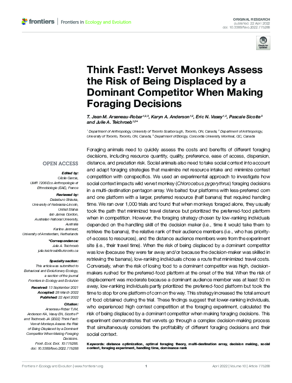 (PDF) Think Fast!: Vervet Monkeys Assess the Risk of Being Displaced by ...