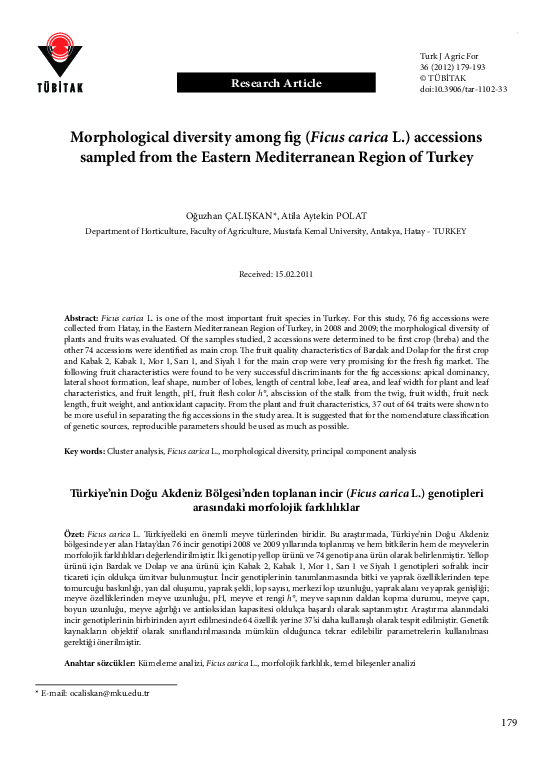 (PDF) Morphological diversity of caprifig ( Ficus carica var ...