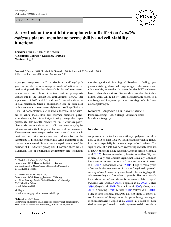 (PDF) A new look at the antibiotic amphotericin B effect on Candida albicans plasma membrane ...